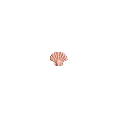 Mini Concha