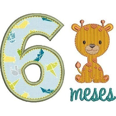 Mesversário 6 Meses Menino