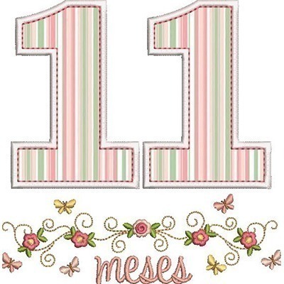 Mesversário 11 Meses Menina