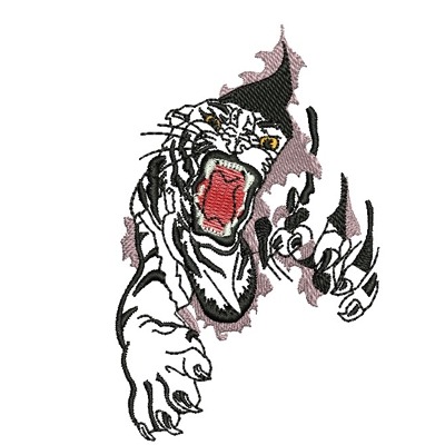 Tigre Rasgando