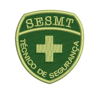 Sesmt Técnico De Segurança